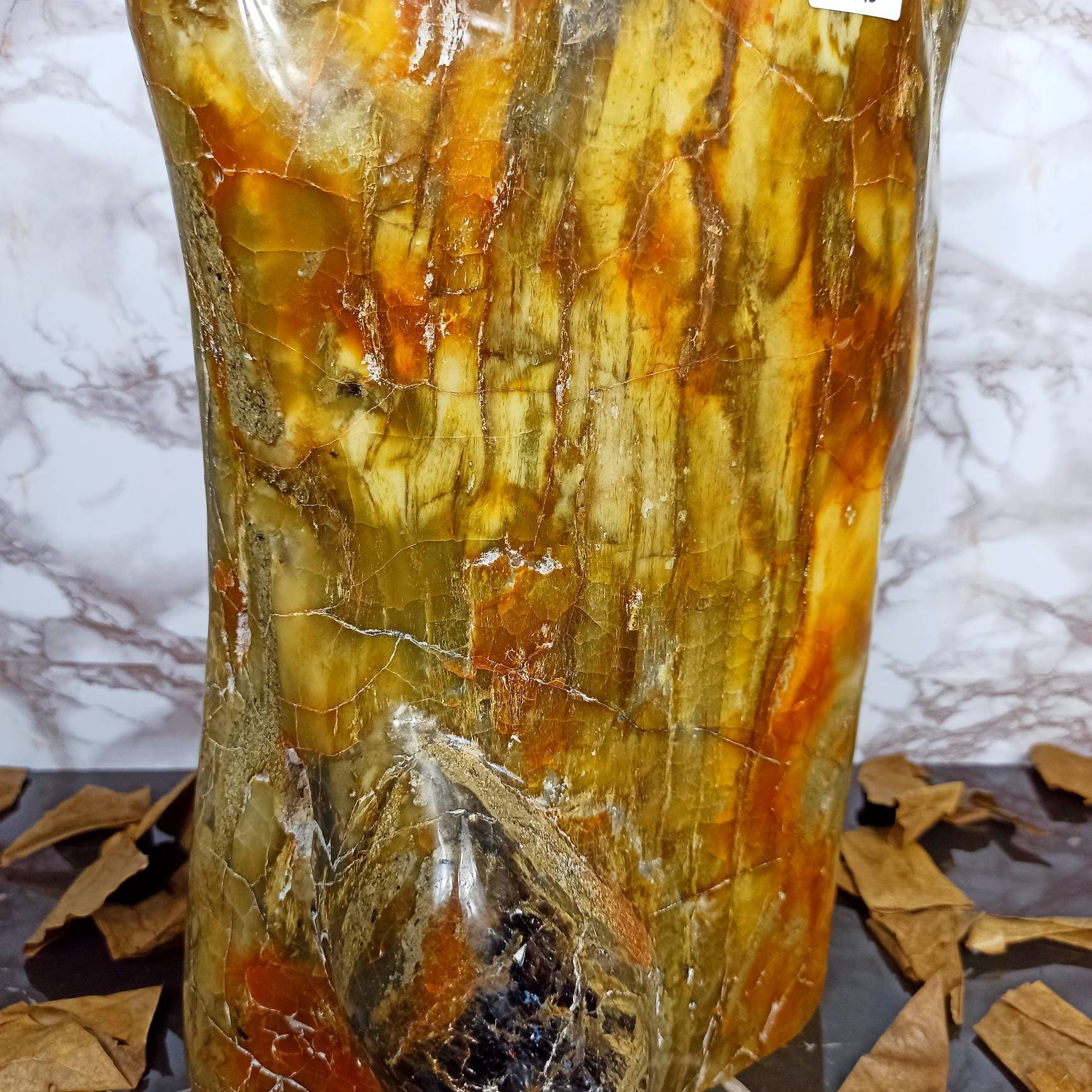 18 Kgs Natural Unique and Super Rare Turquoise Blue Black Opalized ...