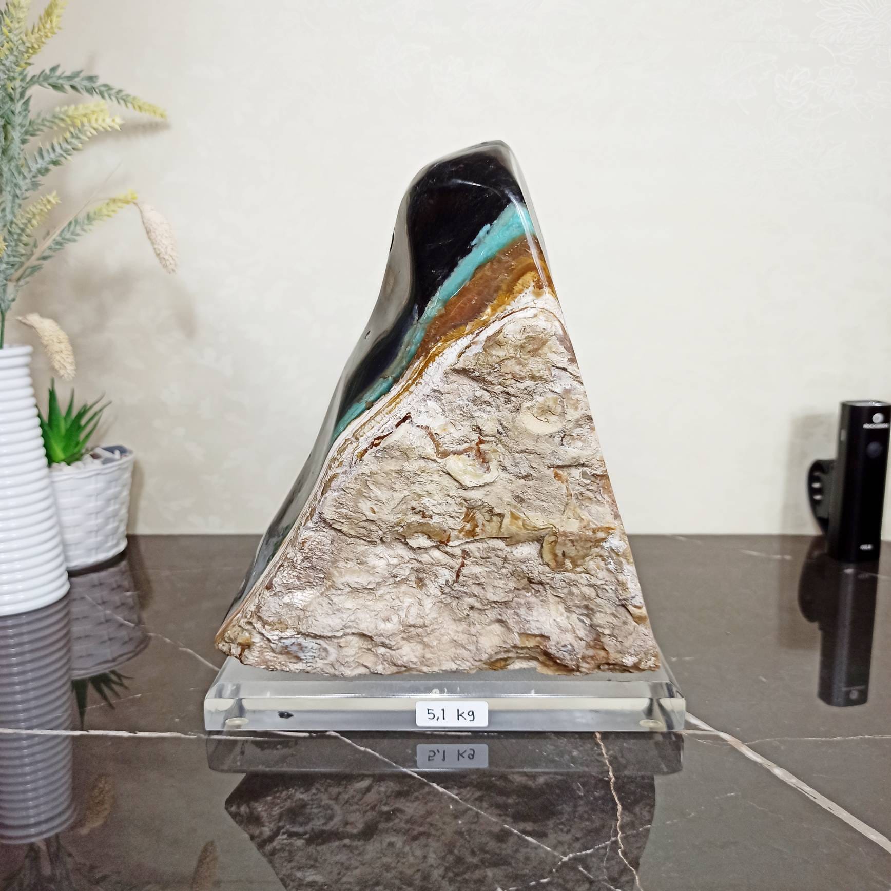 5,1 Kgs | Natural Extremely Rare Turquoise Opalized Petrified Wood ...