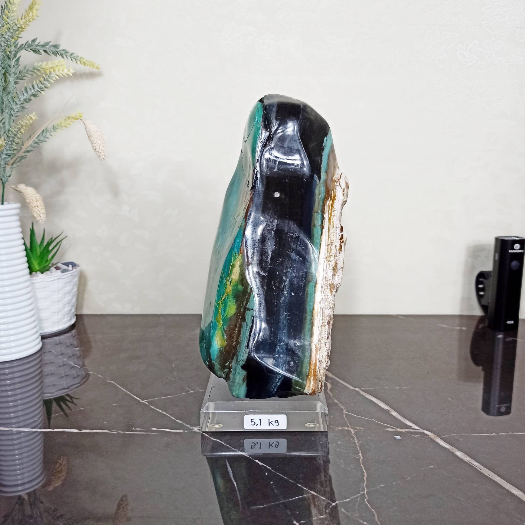 5,1 Kgs | Natural Extremely Rare Turquoise Opalized Petrified Wood ...