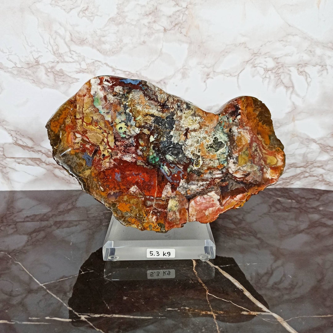 5,3 Kgs | Natural Multy Color Opalized Petrified Wood Polished - Etsy