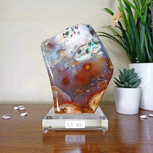 51 Kgs Natural Extremely Rare Turquoise Opalized Petrified | Etsy