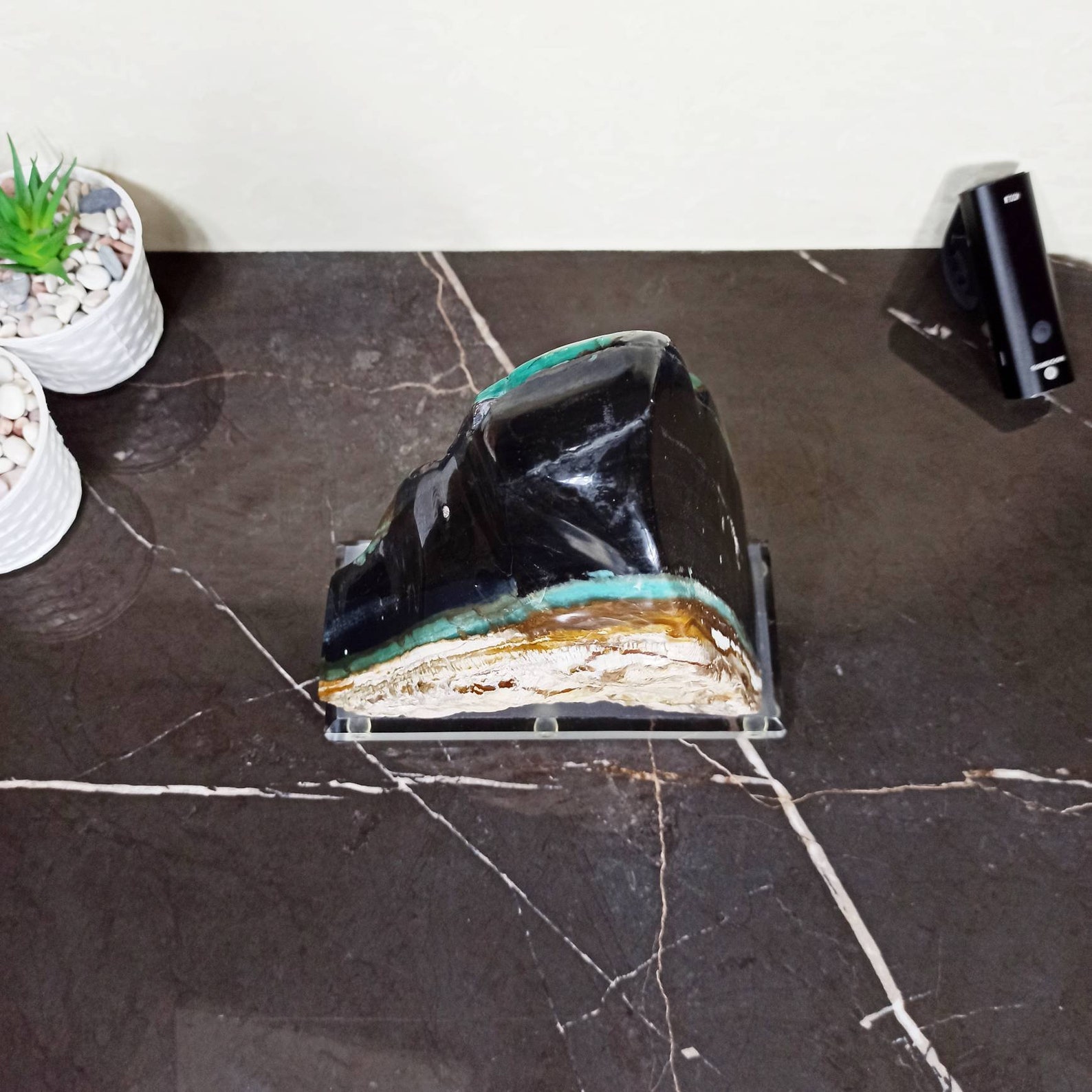 5,1 Kgs | Natural Extremely Rare Turquoise Opalized Petrified Wood ...