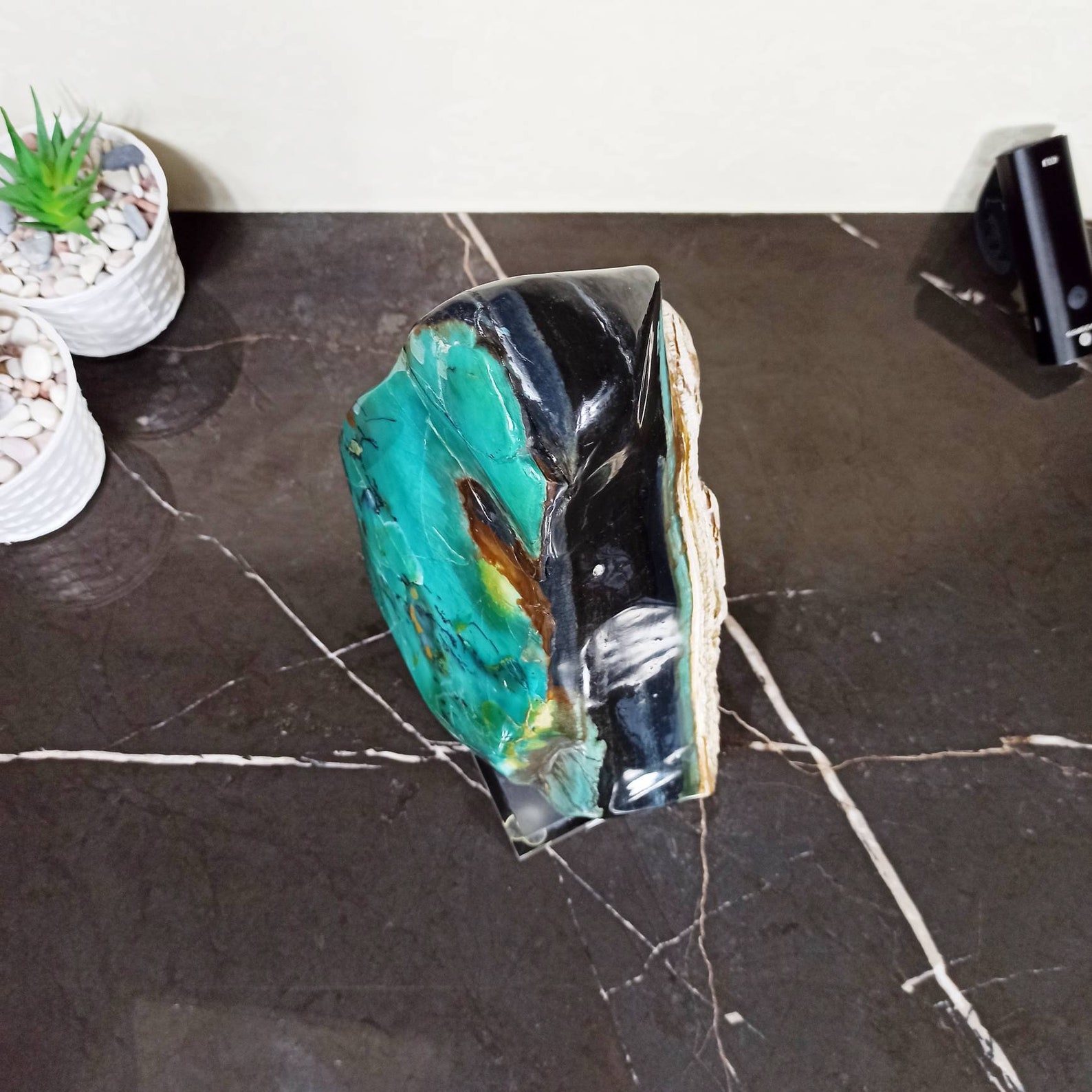 5,1 Kgs | Natural Extremely Rare Turquoise Opalized Petrified Wood ...