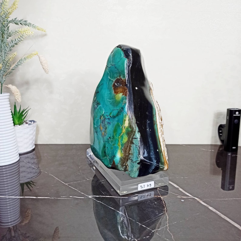 5,1 Kgs | Natural Extremely Rare Turquoise Opalized Petrified Wood ...