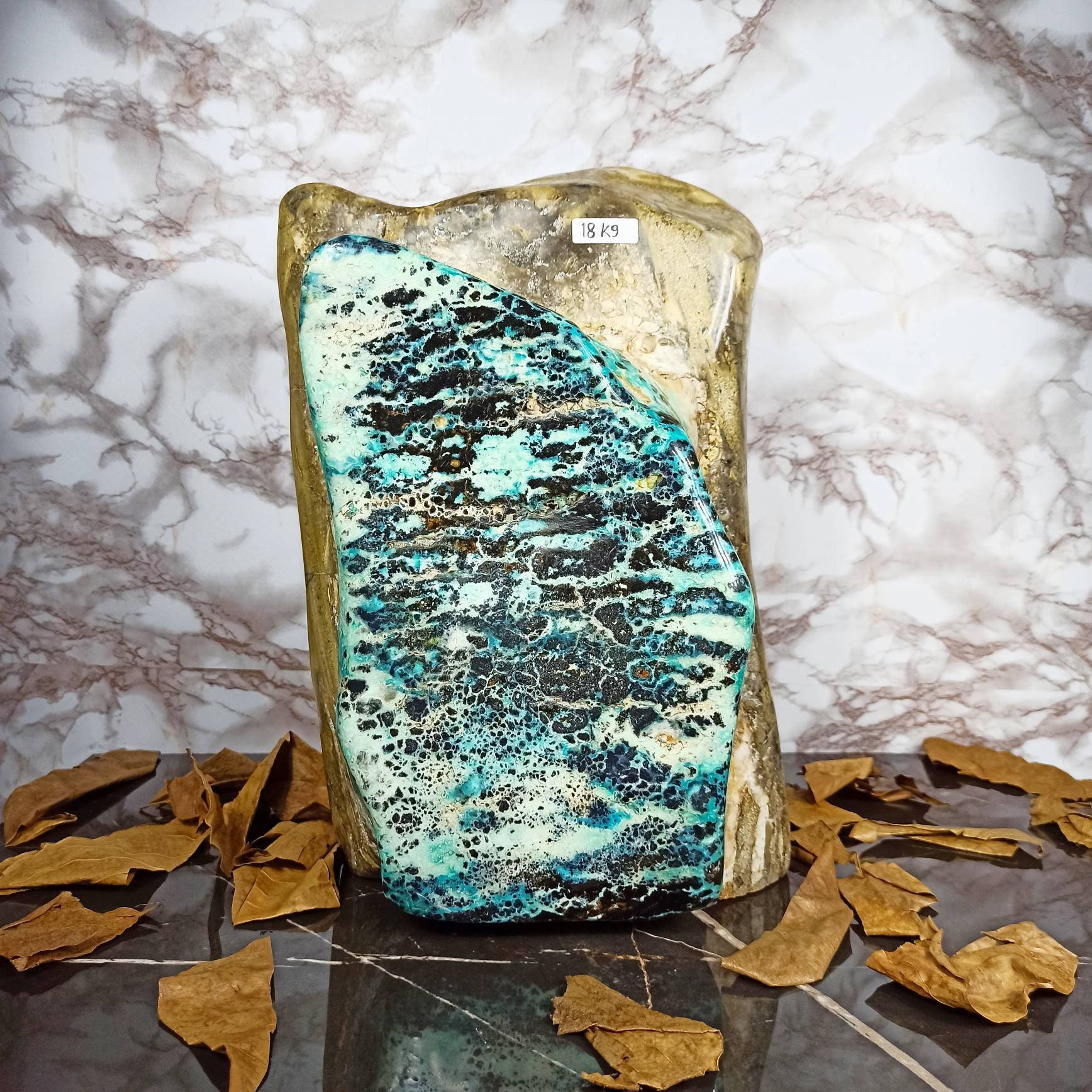 18 Kgs | Natural Unique and Super Rare Turquoise Blue Black Opalized ...