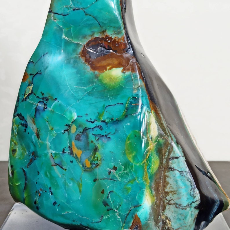 5,1 Kgs | Natural Extremely Rare Turquoise Opalized Petrified Wood ...