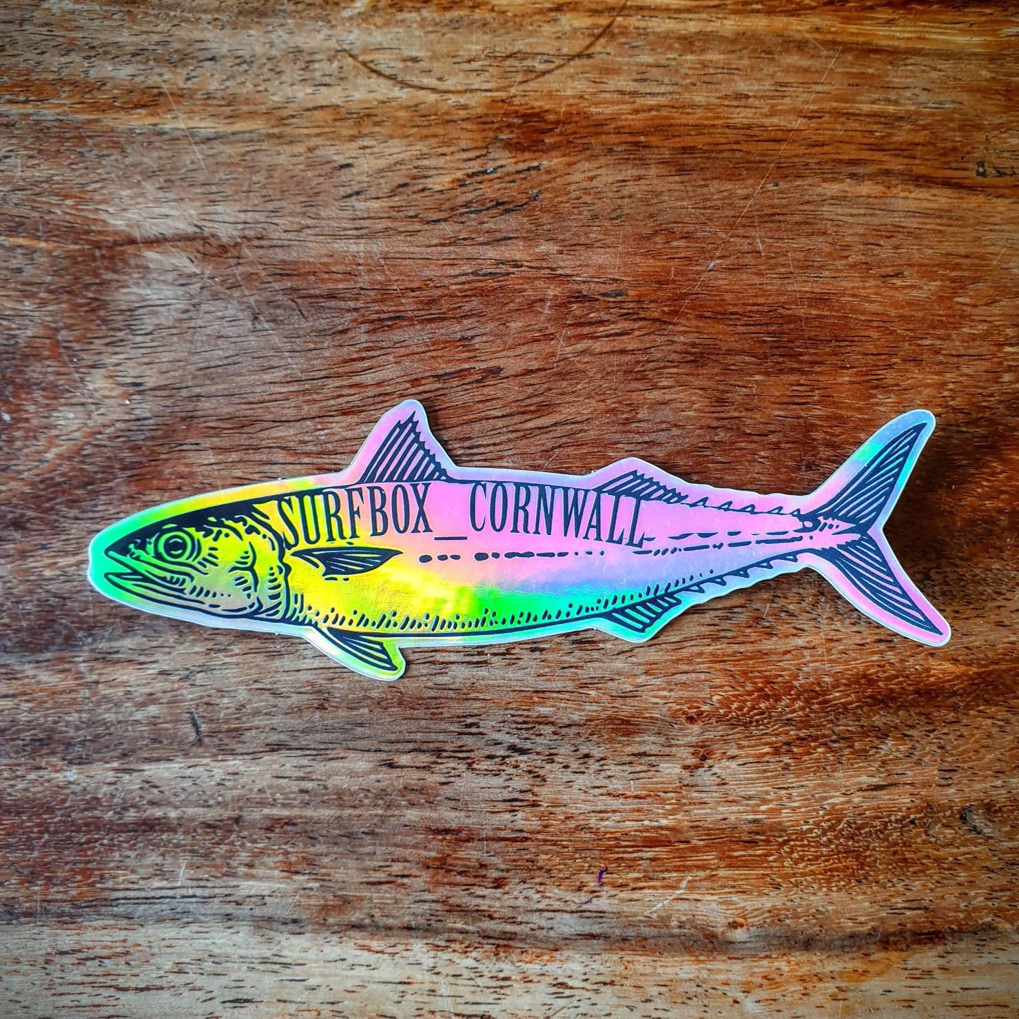 Pasty Sticker Holographic. Surfbox Cornwall. Cornish. Bumper. - Etsy