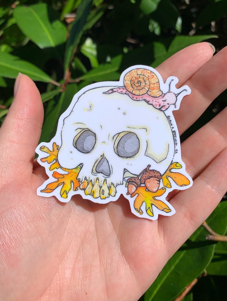 Fall Skull Vinyl Sticker - Etsy
