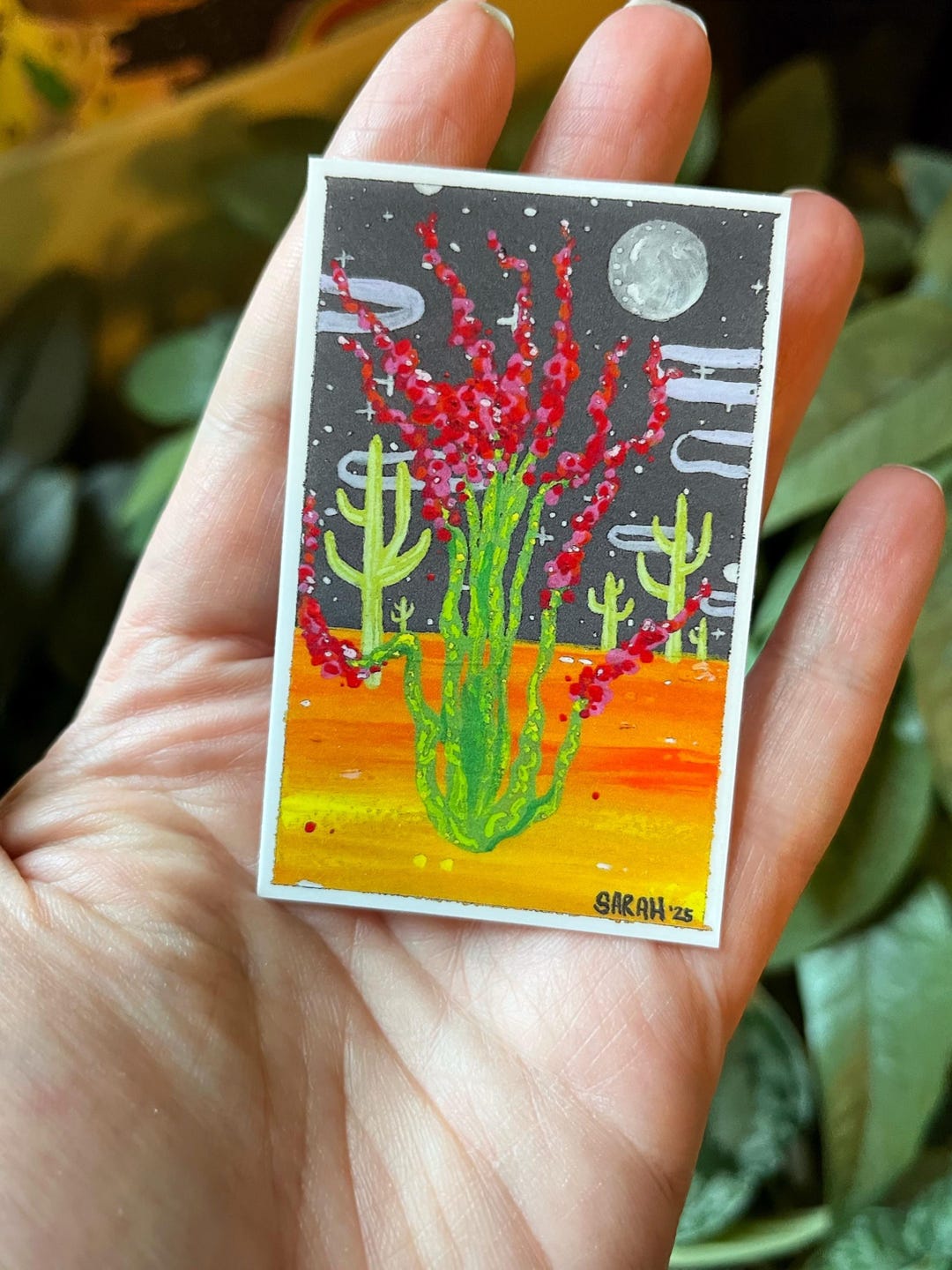 Ocotillo in Bloom Vinyl Sticker - Etsy
