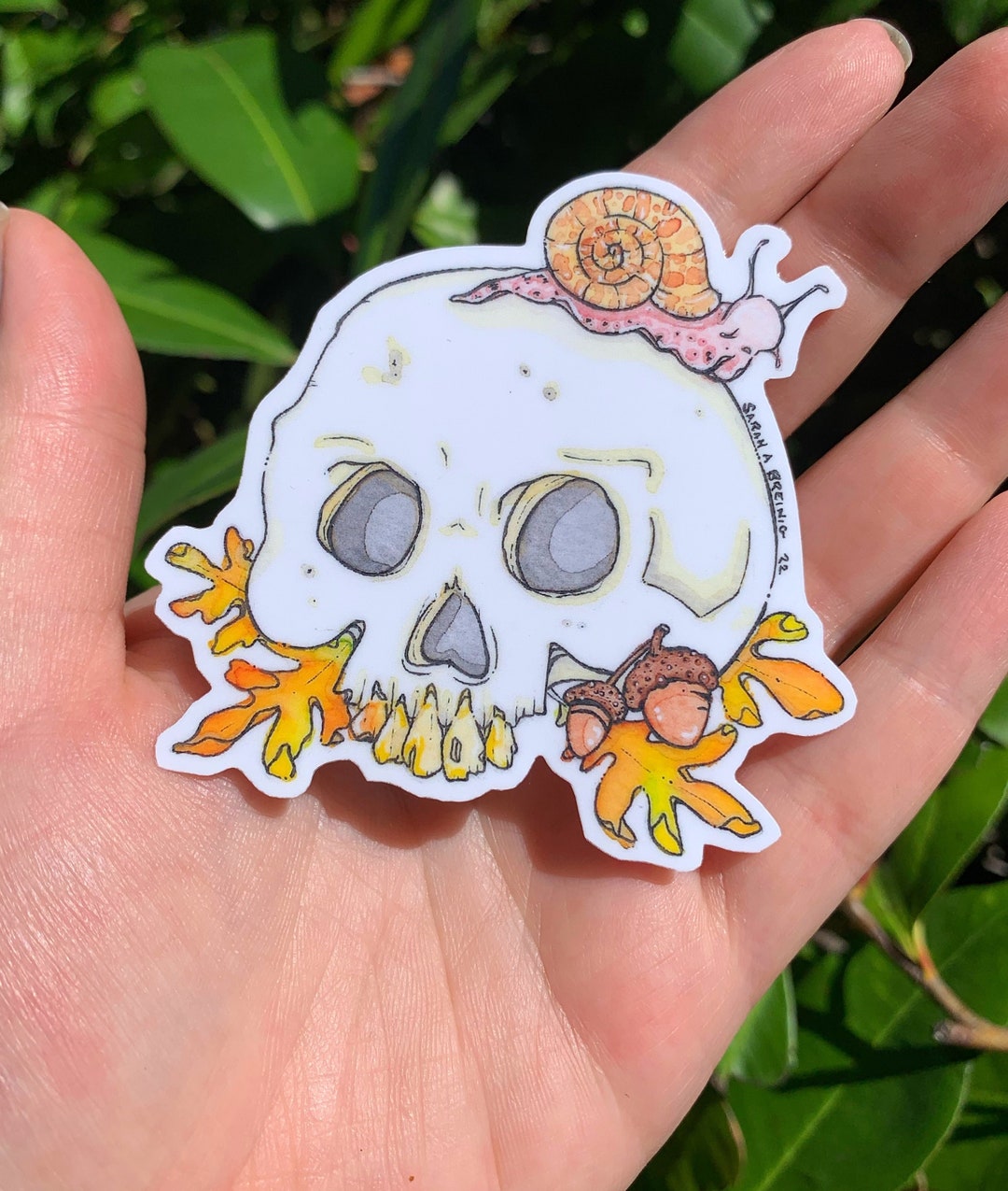 Fall Skull Vinyl Sticker - Etsy