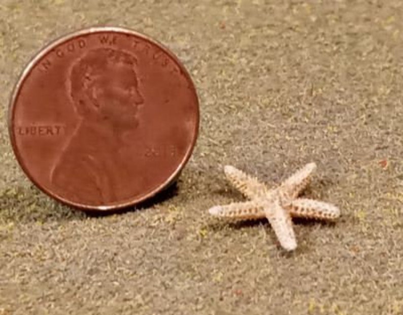 Miniature Starfish Miniature for Lemax Dept 56 Spooky - Etsy