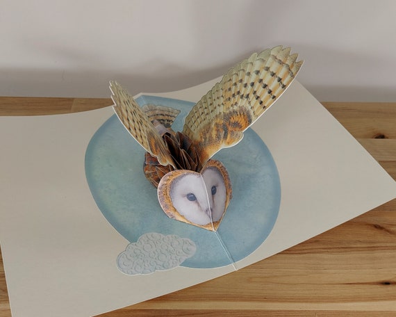 Pop up Owl Card Pop up Owl Birthday Card 3D Owl Card 3D Owl | Etsy