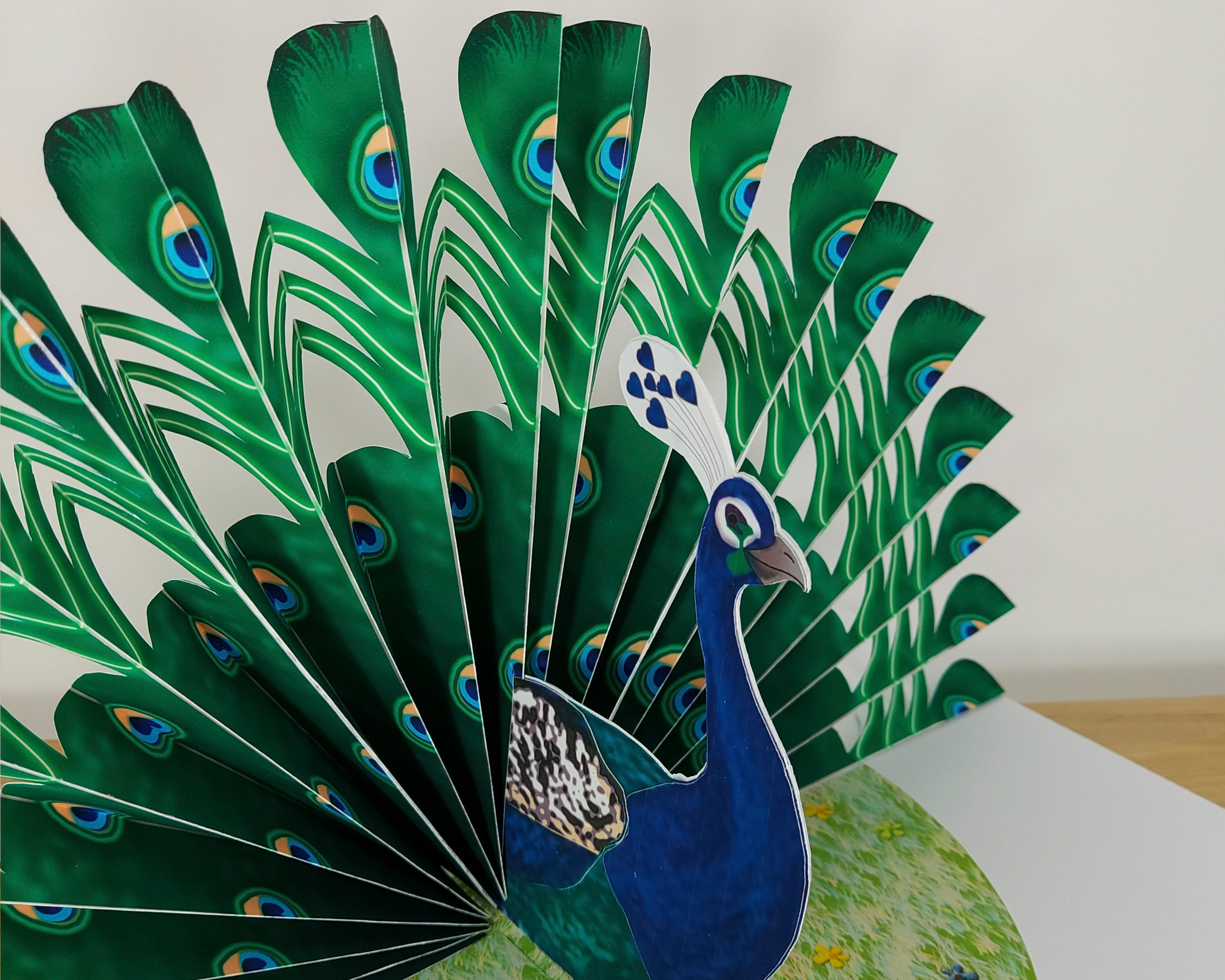 Pop up Peacock Card 3D Peacock Card Pop up Peacock Birthday - Etsy
