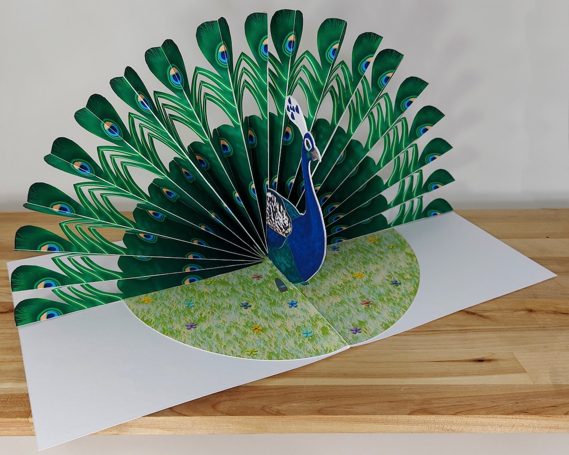 Pop up Peacock Card 3D Peacock Card Pop up Peacock Birthday - Etsy