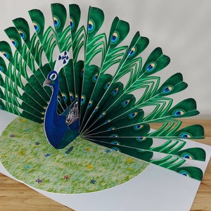 Pop up Peacock Card 3D Peacock Card Pop up Peacock Birthday - Etsy
