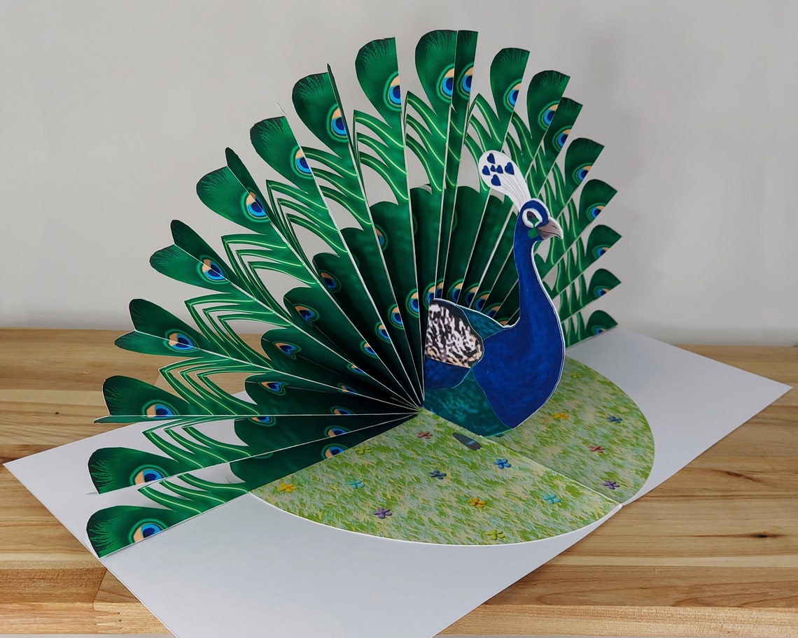 Pop up Peacock Card 3D Peacock Card Pop up Peacock Birthday - Etsy