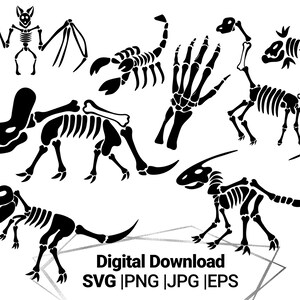 Dinosaur Skeleton Svg, Animal Decal, Halloween Cricut, Custom Template ...