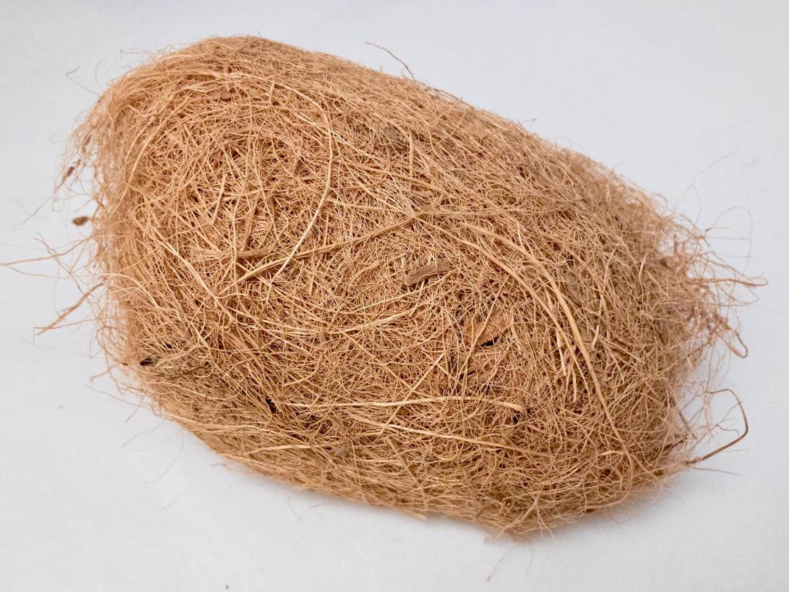 Coconut Fiber Nesting Material Holds Burrows - Etsy