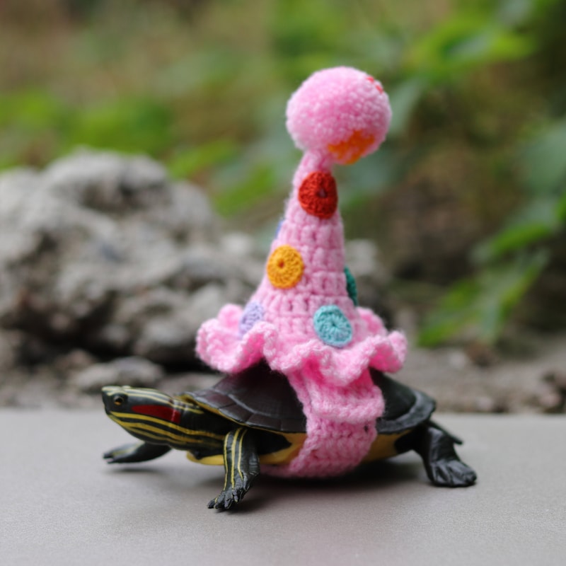 Clothing for Tortoises - Etsy