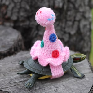 Birthday Tortoise Costume, Party Hat for Turtle, Turtle Birthday ...