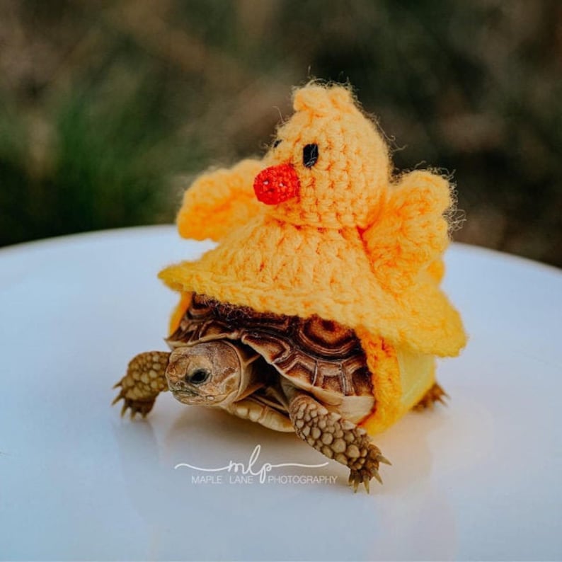 Tortoise Sweater Turtle Crochet Costume Easter Tortoise | Etsy