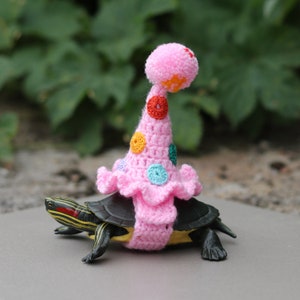 Birthday Tortoise Costume, Party Hat for Turtle, Turtle Birthday ...