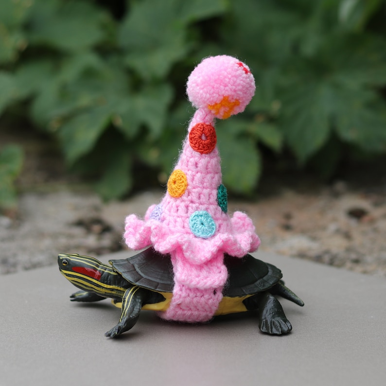 Birthday Tortoise Costume Party Hat for Turtle Turtle - Etsy
