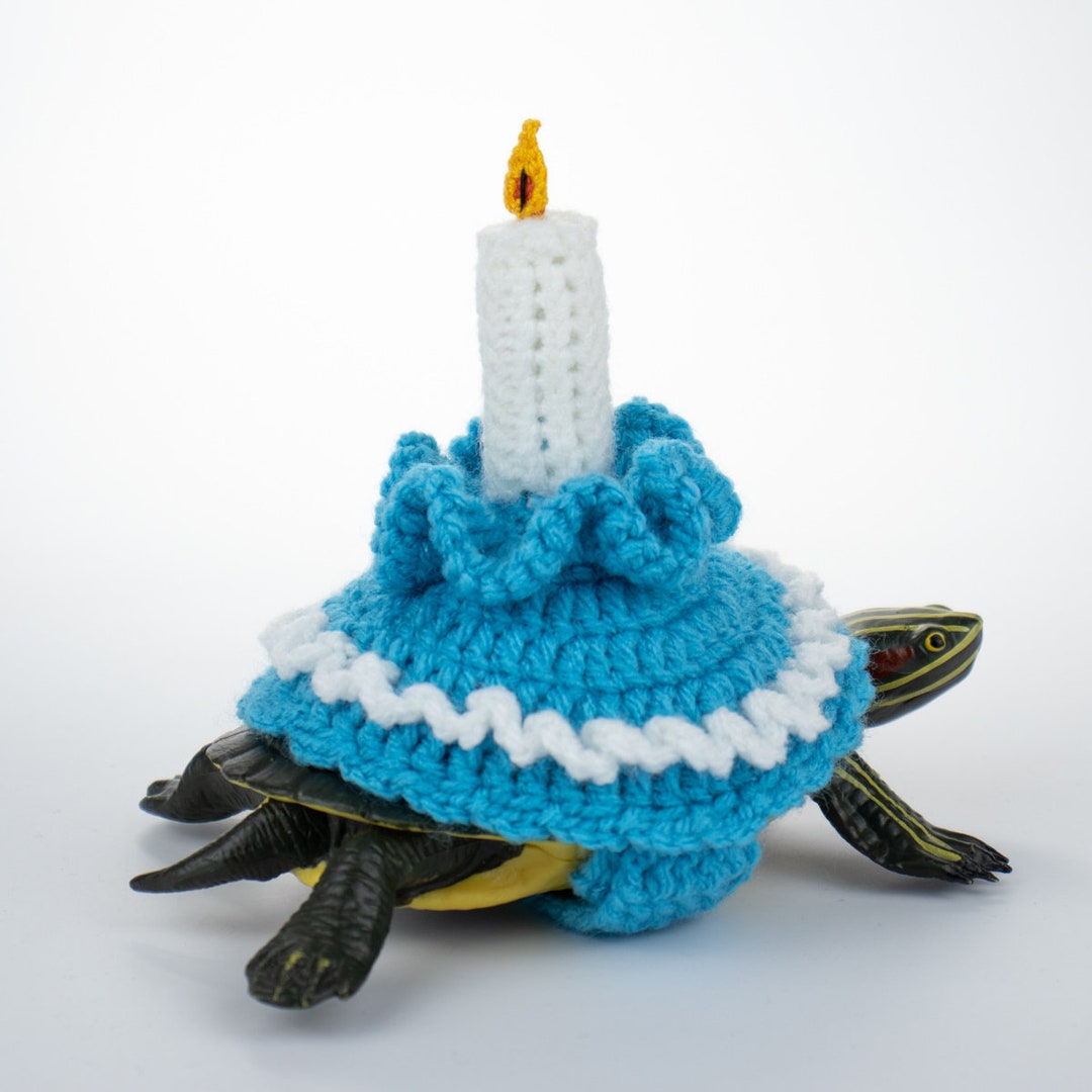 Tortoise Birthday Sweater, Tortoise Costume, Tortoise Sweater for Party ...