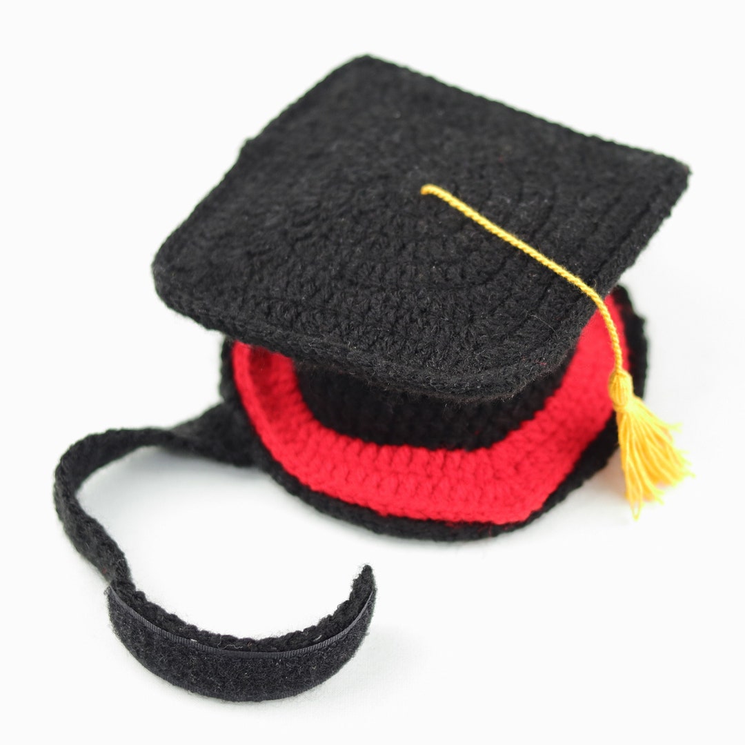 Graduation Cap for Tortoise, Turtle Costume, Tortoise Outfit for Turtle ...