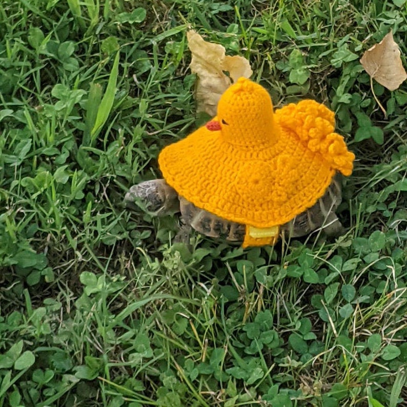 Tortoise Sweater Turtle Crochet Costume Easter Tortoise | Etsy