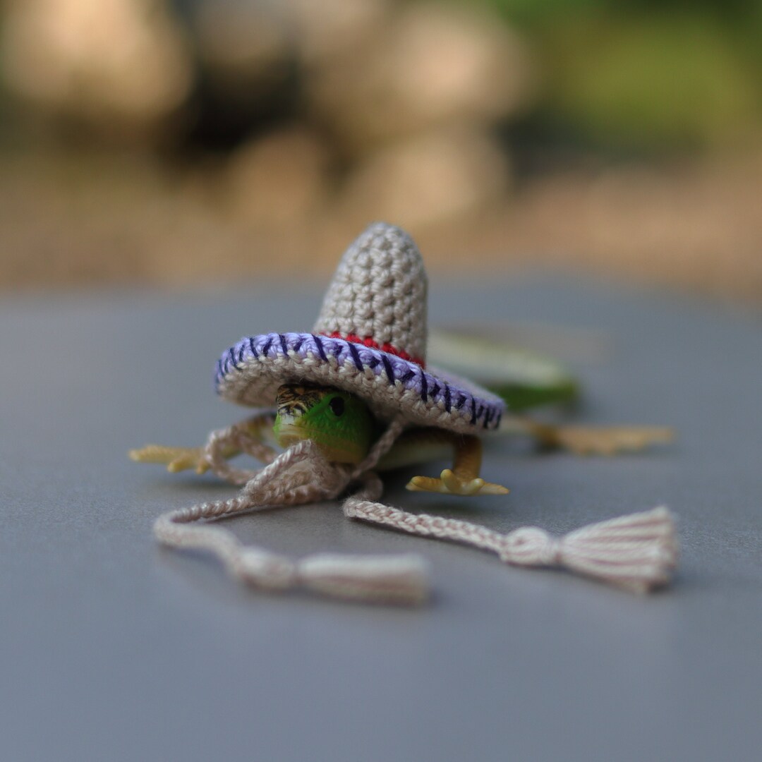 Tiny Sombrero Pet Hat for Snake, Lizard, Bearded Dragon, Ball Python ...
