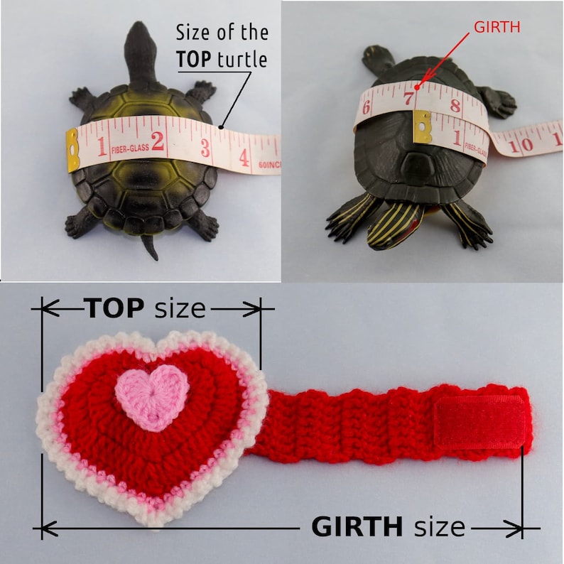 Crochet Tortoise Tuxedo: Handmade Reptile Costume With Rose - Etsy