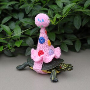 Birthday Tortoise Costume, Party Hat for Turtle, Turtle Birthday ...