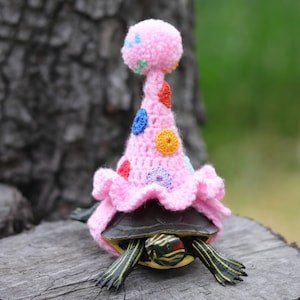 Birthday Tortoise Costume, Party Hat for Turtle, Turtle Birthday ...