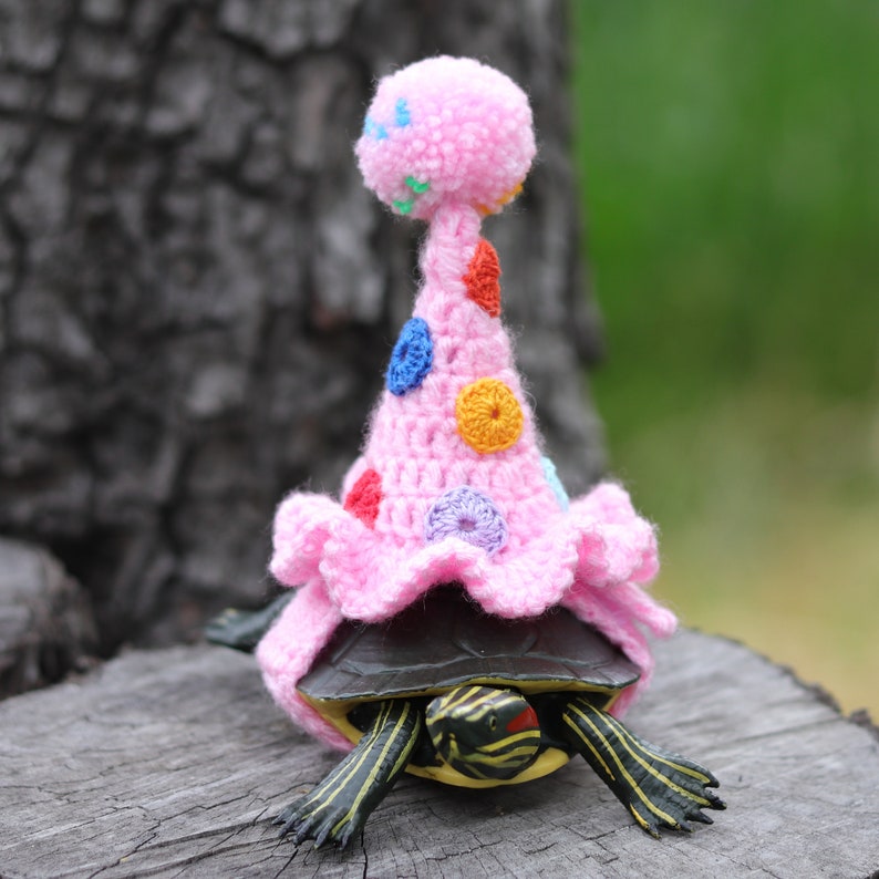 Birthday Tortoise Costume Party Hat for Turtle Turtle - Etsy
