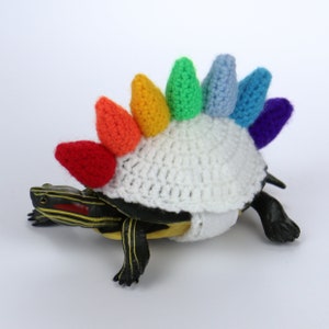 Tortoise Crochet Outfit Rainbow Dinosaur Tortoise Shell Costume on Sale ...