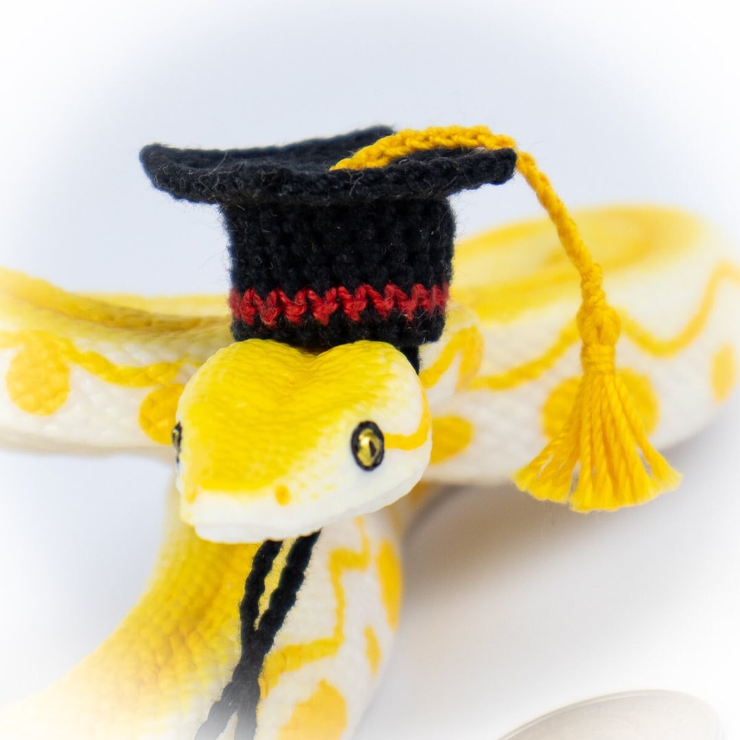 Crochet Cotton Graduation Cap for Small Reptiles - Etsy