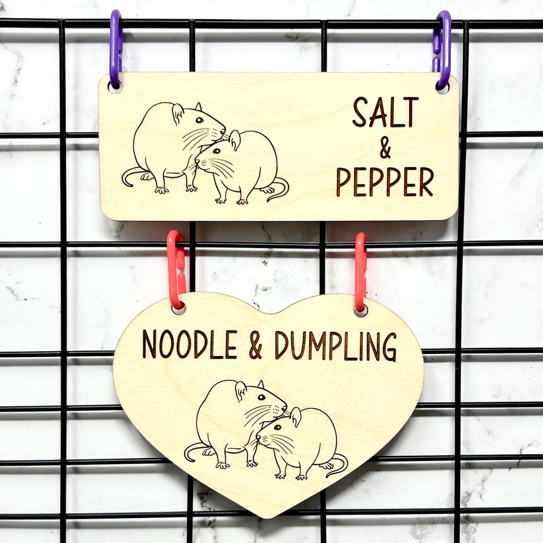 Personalized Rat Cage Name Tag With Two Names, Custom Wood Pet ...