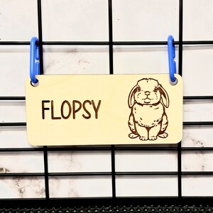 Bunny Name Tag, Rabbit Name Tag, Bunny Accessories for Rabbits, Cage ...