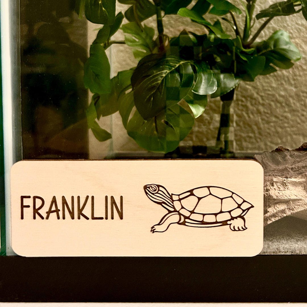 Red Eared Slider, Turtle Tank Decor, Turtle Tank Accessories, Turtle ...