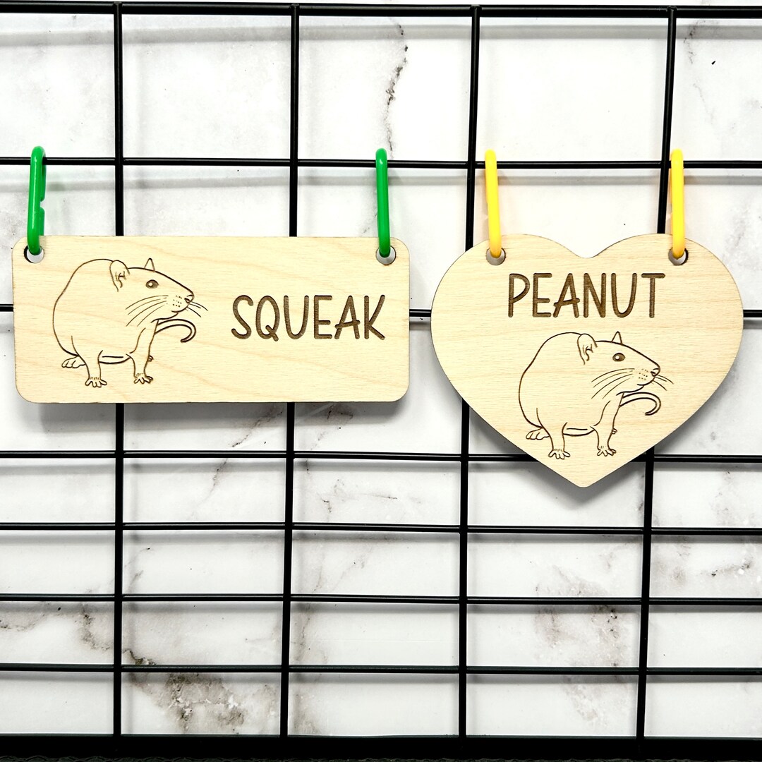Rat Cage Sign, Rat Lovers, Rat Name Plate, Personalized Cage Sign, Pet ...