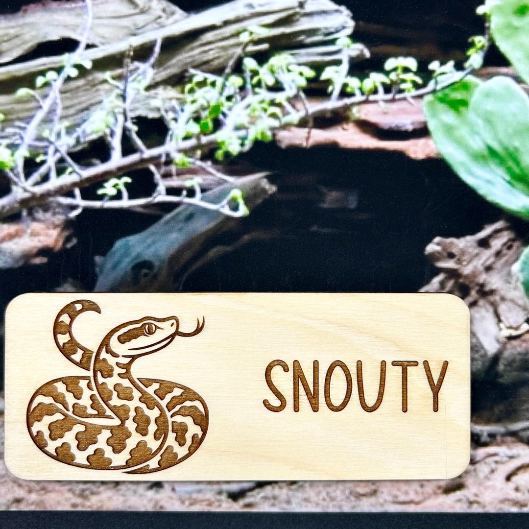 Hognose Snake Name Sign, Wood Hognose Tank Decor, Personalized Hognose ...