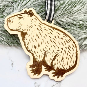 Capybara Ornament, Capybara Christmas, Capybara Decor, Capybara Gift ...