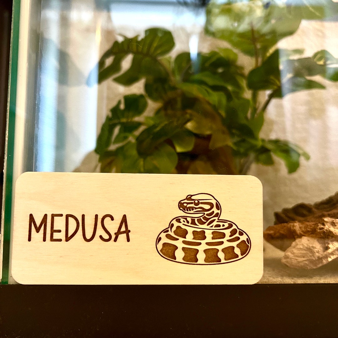 Corn Snake Accessories, Corn Snake Tank, Corn Snake Tank, Corn Snake ...