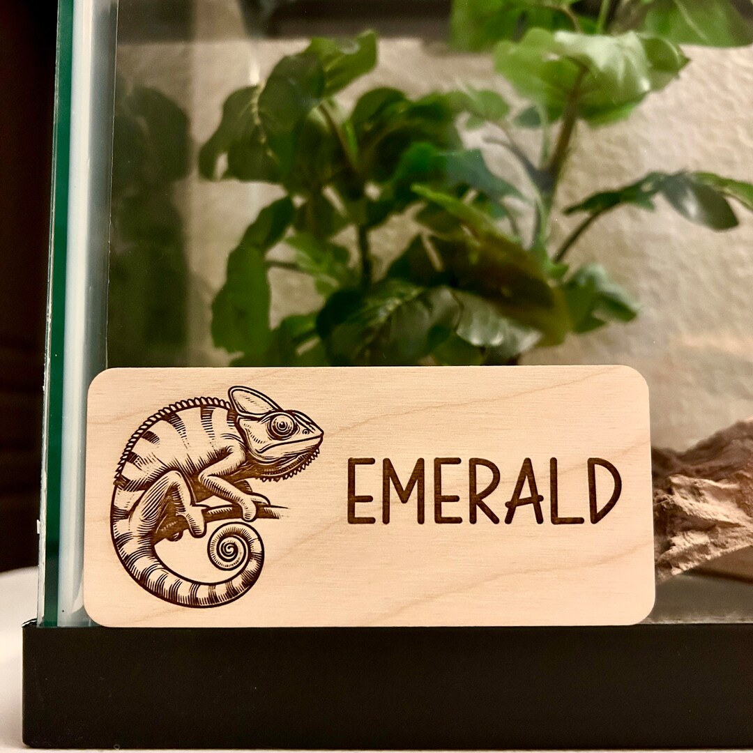 Chameleon Name Tag, Chameleon Name Sign, Chameleon Decor, Chameleon ...