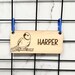 Ring-necked Parakeet Cage Tag, Rose-ringed Parakeet, Parakeet Cage Sign ...