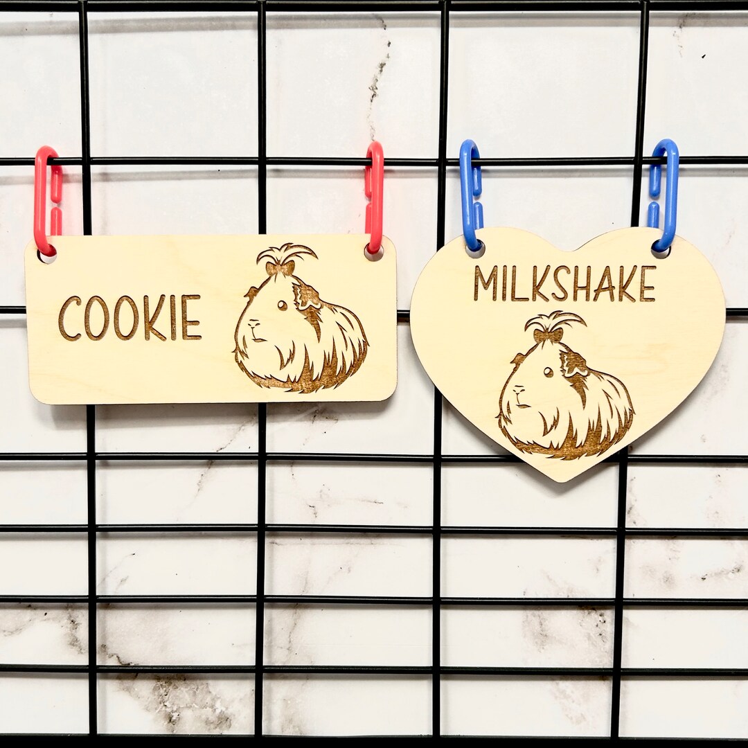 Guinea Pig Name Sign, Guinea Pig Name Tag, Guinea Pig Cage Sign, Guinea ...