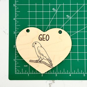 Parrotlet Name Sign, Parrotlet Name Tag, Parrotlet Cage Sign, Parrotlet ...