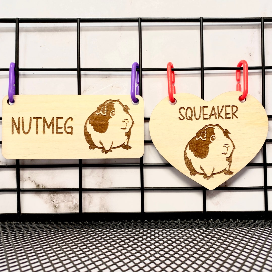 Guinea Pig Name Sign, Guinea Pig Name Tag, Guinea Pig Cage Sign, Guinea ...