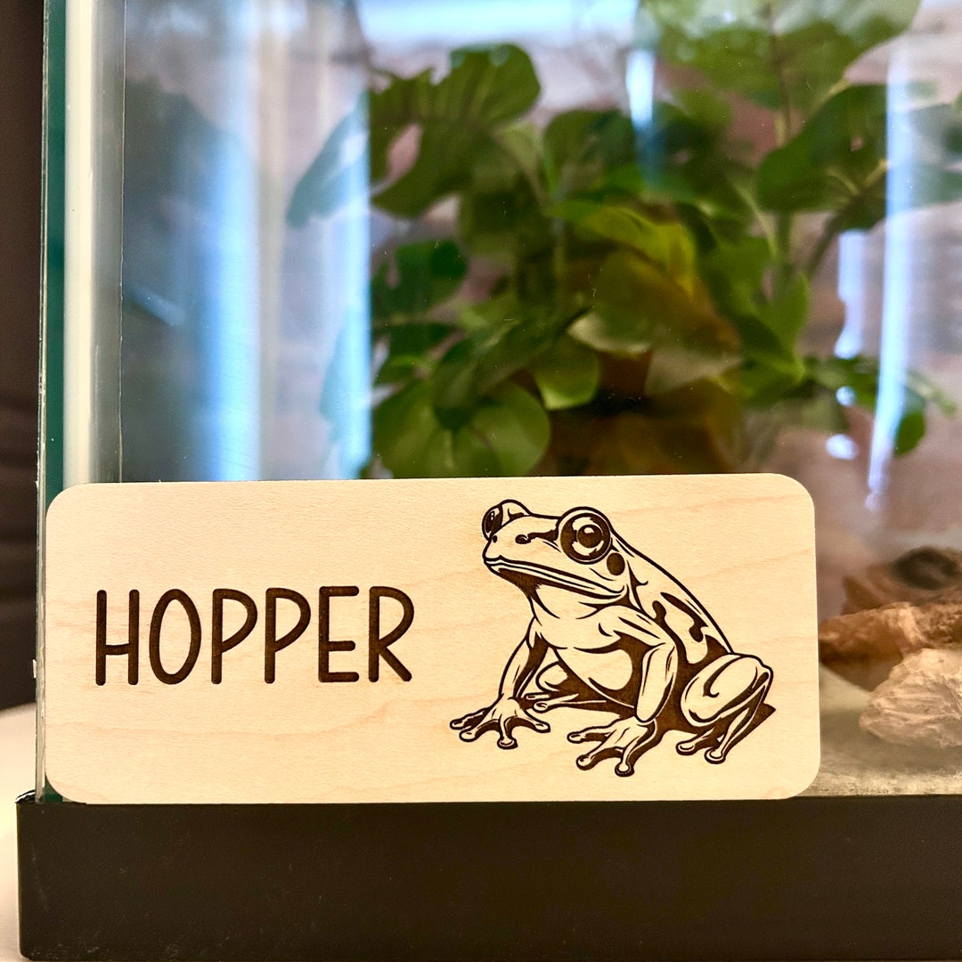 Frog Tank Decor, Frog Accessories, Frog Decor, Frog Decorations, Frog ...